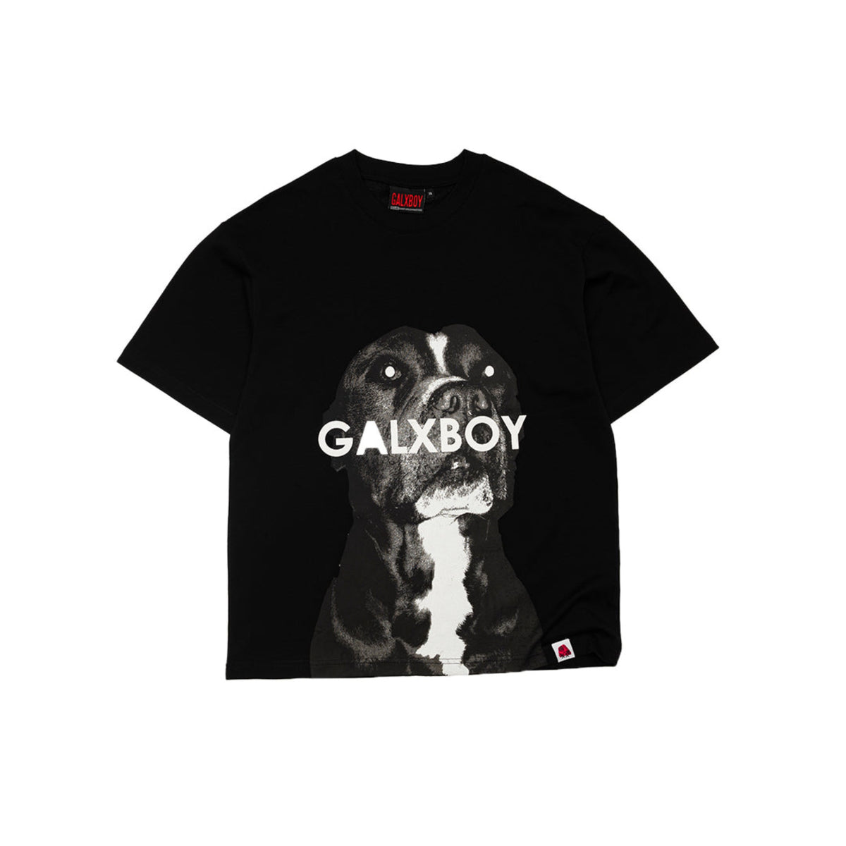 T-Shirts | GALXBOY | Make a Statement with Bold Streetwear Tees