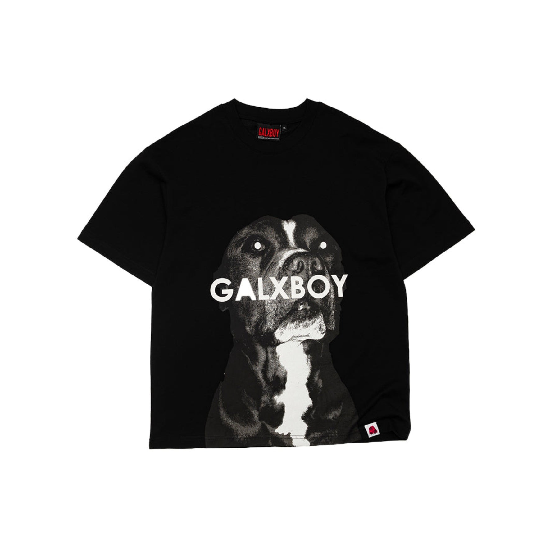 T-Shirts | GALXBOY | Make a Statement with Bold Streetwear Tees