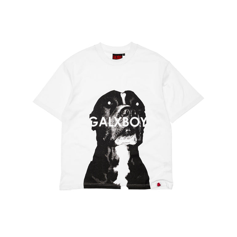 Products – GALXBOY