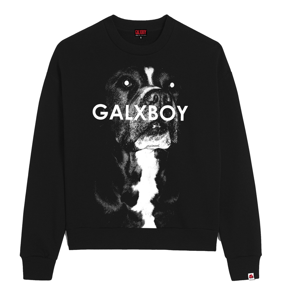 Collections – GALXBOY
